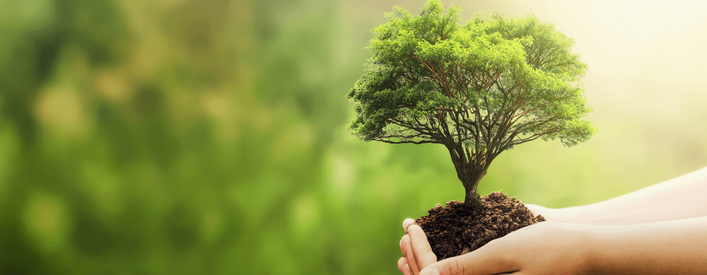 Climate change | NIPPON PAINT HOLDINGS CO.,LTD.