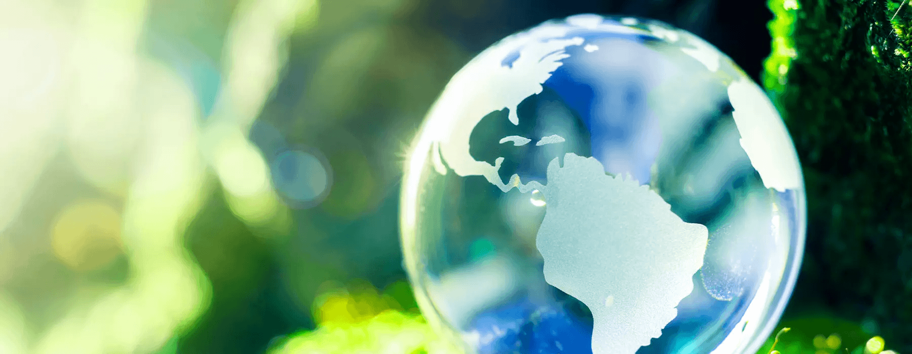 Answer to CDP | NIPPON PAINT HOLDINGS CO.,LTD.